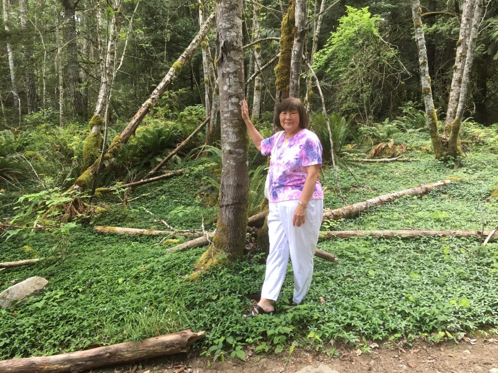 Paldi-The town that time plum forgot. A story of dispossession and ...